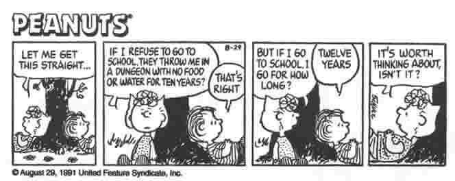 Mr Findlay's Website